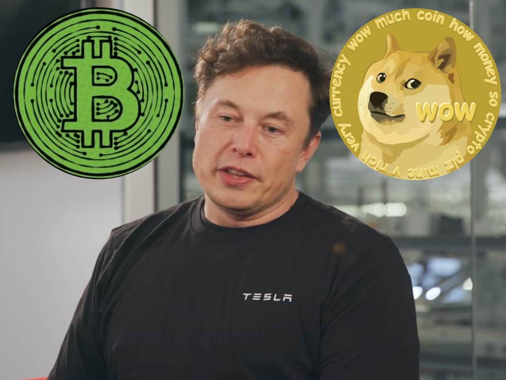 kriptovalute vrednost bitcoin dogecoin snup dog kiss ilon mask tesla ...
